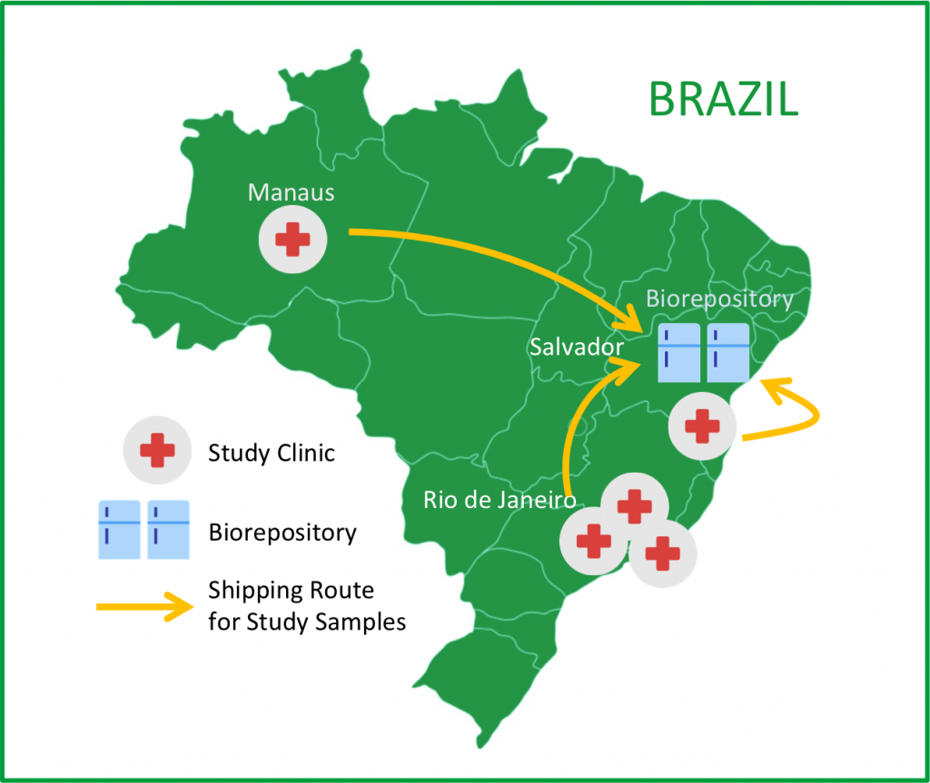 About Us – RePORT-Brazil